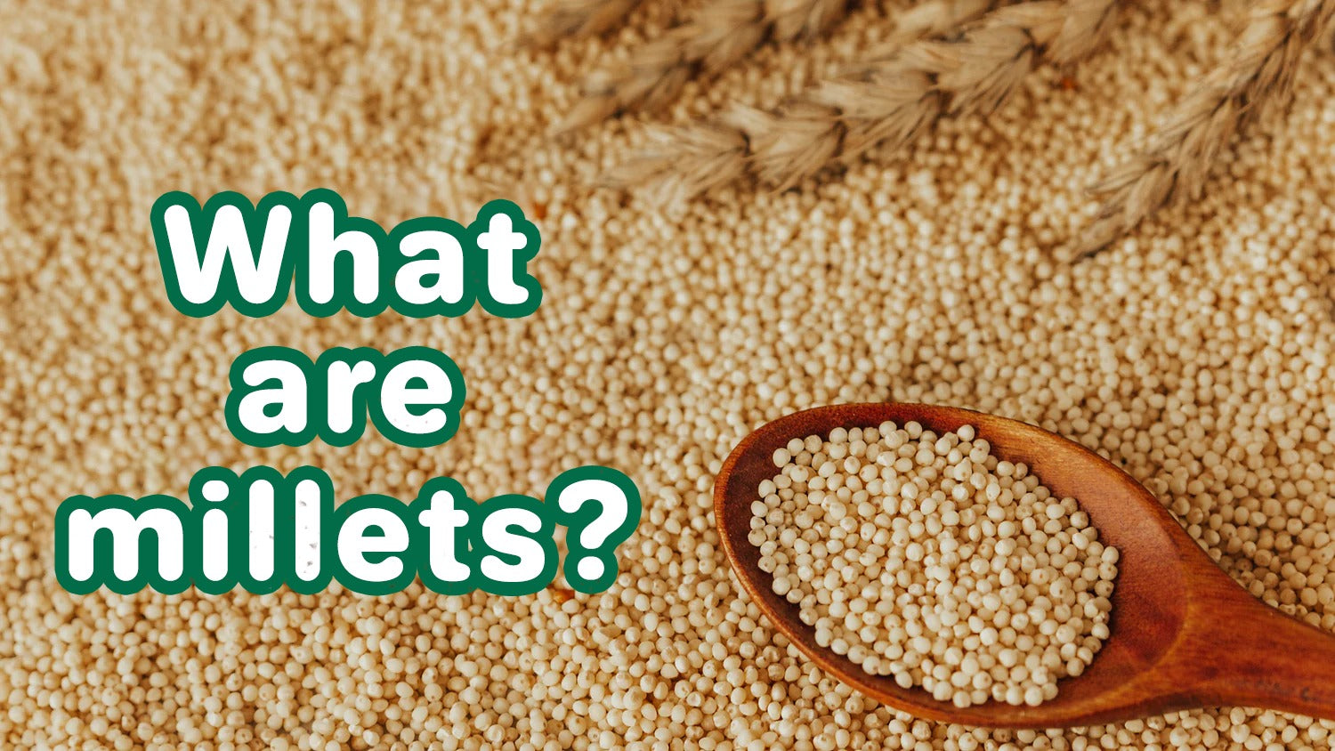 What are Millets? Nutrition, Benefits, and More – Millet Yard